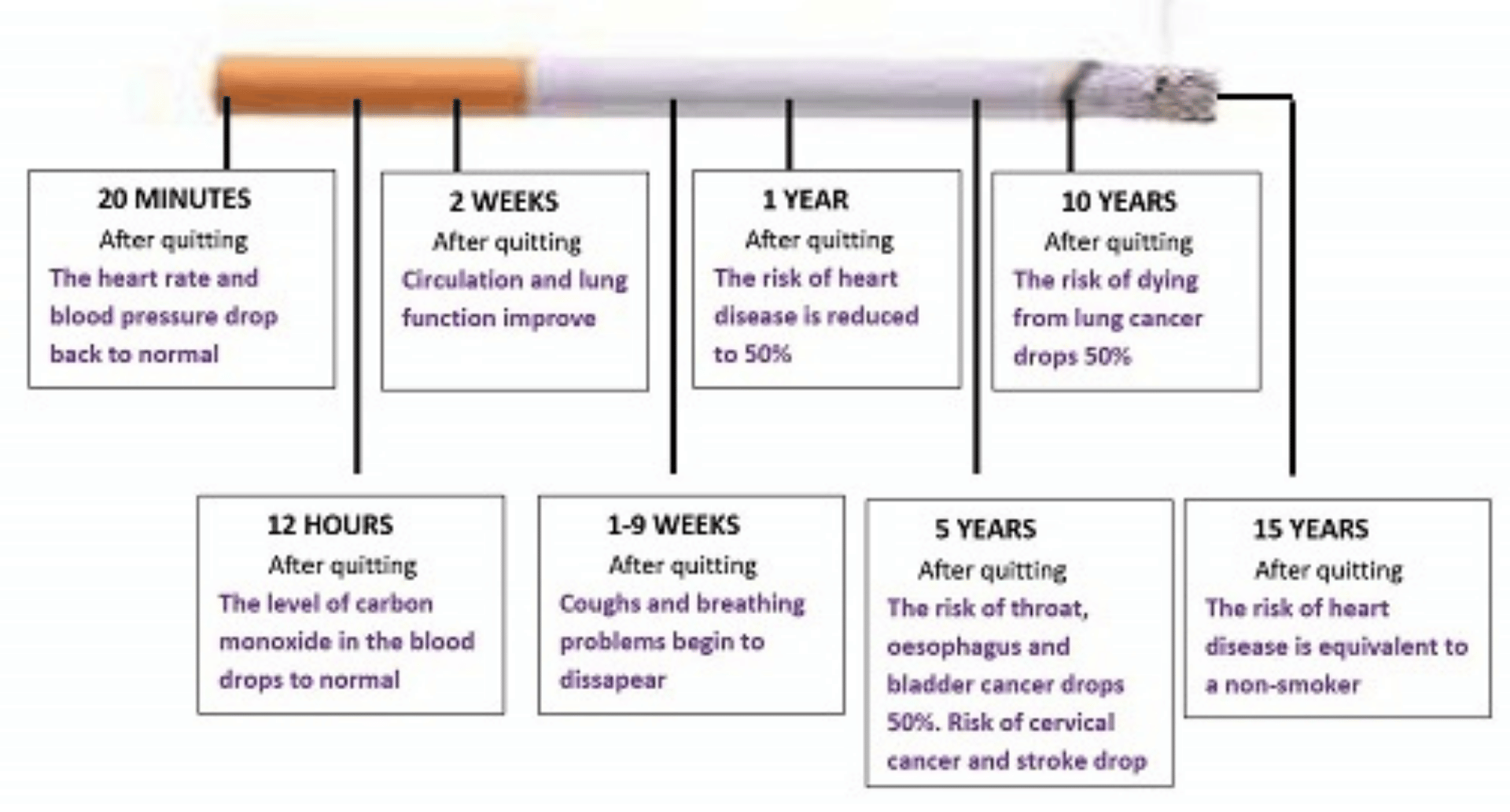 Quit Smoking Timeline - Quit smoking today Quit Smoking Timeline - Quit smoking today